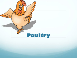 Agriculture: Poultry (Chickens) PowerPoint Presentations - Meat and ...
