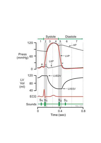 OCR A Level Biology (H020) Module 3 - Cardiac cycle | Teaching Resources OCR A Level Biology (H020) Module 3 - Cardiac cycle | Teaching Resources
