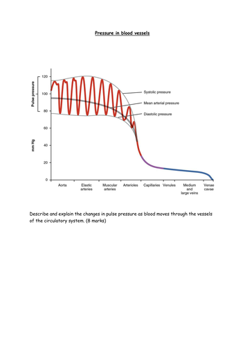 OCR A Level Biology (H020) Module 3 - Cardiac cycle | Teaching Resources OCR A Level Biology (H020) Module 3 - Cardiac cycle | Teaching Resources