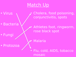 Non-Specific defence system WHOLE LESSON with resources and answers ...