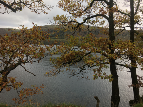 Winter | Teaching Resources