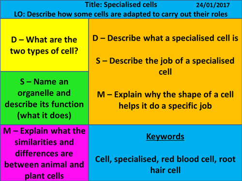 New Exploring Science - Year 7 - Cells - L6 Specialised Cells ...