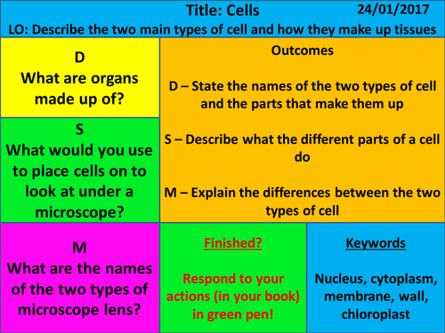 Year 7 Cells New Exploring Science Topic | Teaching Resources