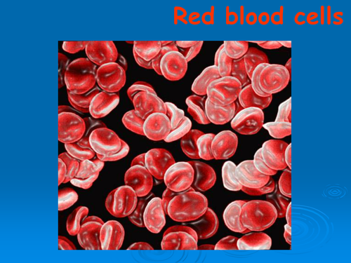 A level Biology - CELLS teaching materials | Teaching Resources