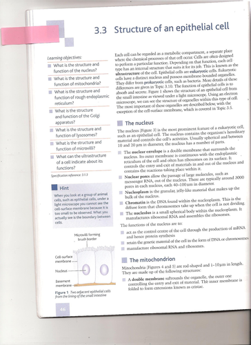 A level Biology - CELLS teaching materials | Teaching Resources