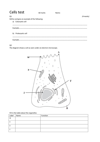 A level Biology - CELLS teaching materials | Teaching Resources