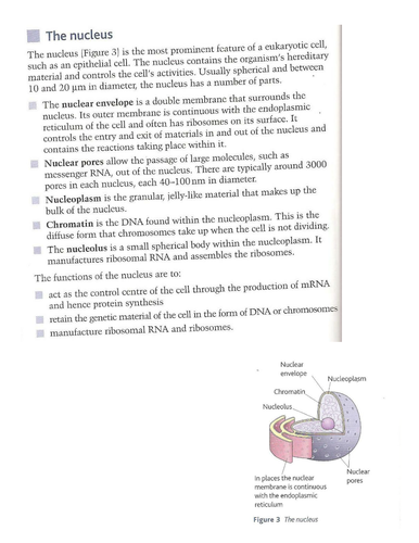 A level Biology - CELLS teaching materials | Teaching Resources