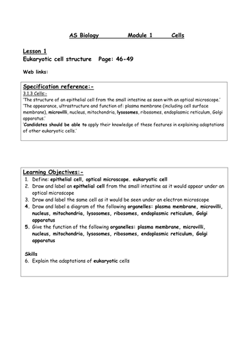 A level Biology - CELLS teaching materials | Teaching Resources