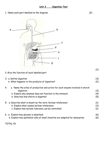 AS level DIGESTION teaching materials | Teaching Resources