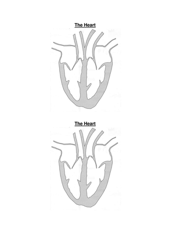 AS Biology Heart (Teaching resources, ppt files, assessments and lesson ...