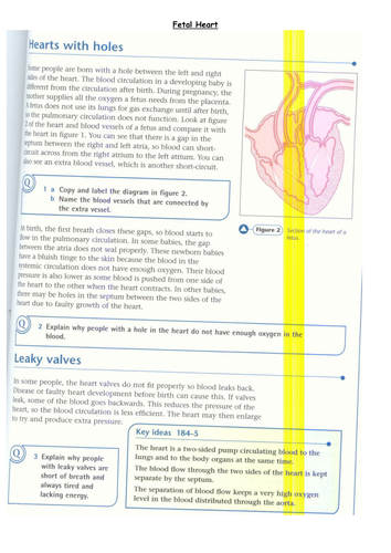 AS Biology Heart (Teaching resources, ppt files, assessments and lesson ...