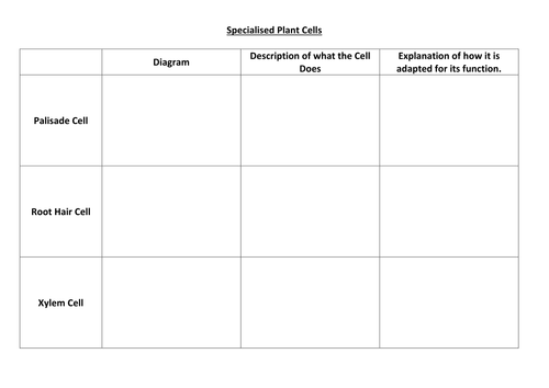 Cells: Specialised Plant Cells | Teaching Resources