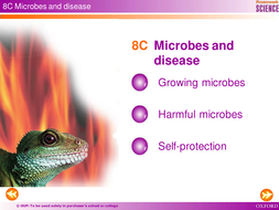 AS Biology - Immunity (Teaching materials, lesson plans, ppt files and ...
