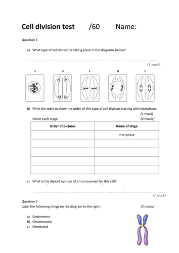 A Level Biology - Cell Cycle (Lesson materials, assessments and lesson ...