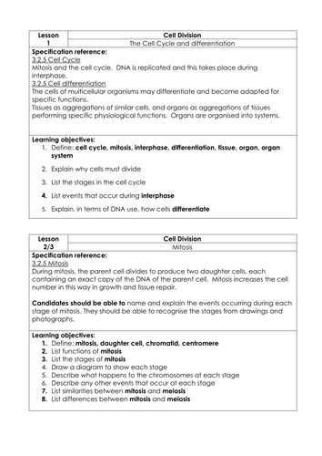 A Level Biology - Cell Cycle (Lesson materials, assessments and lesson ...