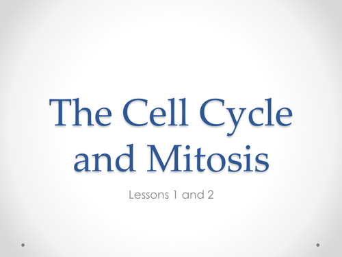 A Level Biology - Cell Cycle (Lesson materials, assessments and lesson ...
