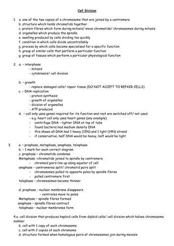 A Level Biology - Cell Cycle (Lesson materials, assessments and lesson ...