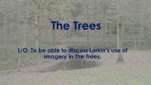 CIE IGCSE Songs of Ourselves, Volume 1, Part 5 | Teaching Resources