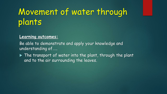 OCR A level Biology (H020) Module 3- Movement of water through plants ...
