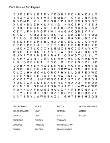 Plant organs and systems bundle - foldable, crossword, wordsearch and ...