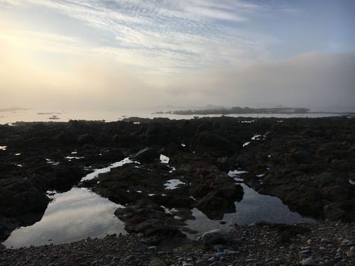 Rock Pools and the Seaside | Teaching Resources