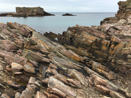 Rock Pools and the Seaside | Teaching Resources