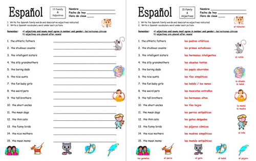 Spanish Family & Descriptive Adjectives - 15 Vocabulary Translations ...