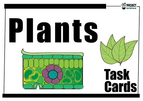 Plants Task Cards | Teaching Resources