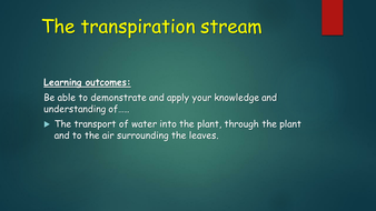 OCR A Level Biology (H020) - Module 3 - Transport in plants ...
