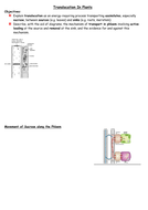 OCR A level Biology (H020) Module 3 - Plant transport - Translocation ...
