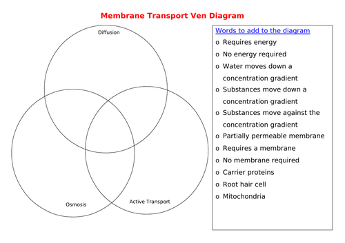 NEW GCSE Biology - B1 Cell Structure & Transport | Teaching Resources