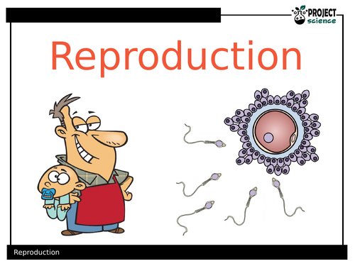 Reproduction PowerPoint and Activity Sheets | Teaching Resources
