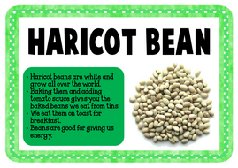 FRUIT VEGETABLES VITAMINS TEACHING RESOURCES KS2-4 FOOD TECHNOLOGY ...