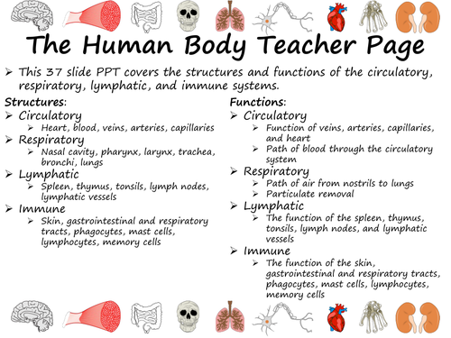 Human Body: Circulatory, Respiratory, Lymphatic, and Immune Systems ...