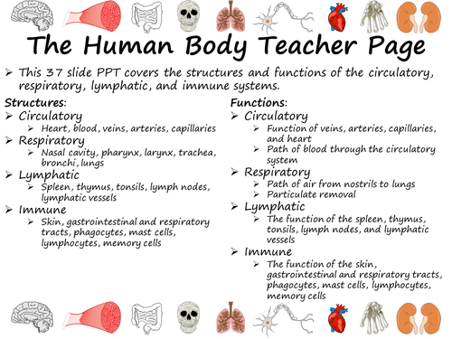 Human Body: Circulatory, Respiratory, Lymphatic, and Immune Systems ...