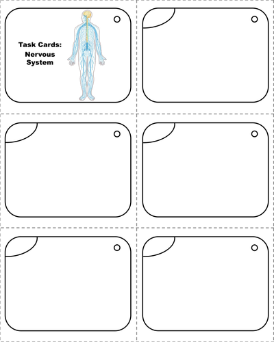 Nervous System Task Cards | Teaching Resources