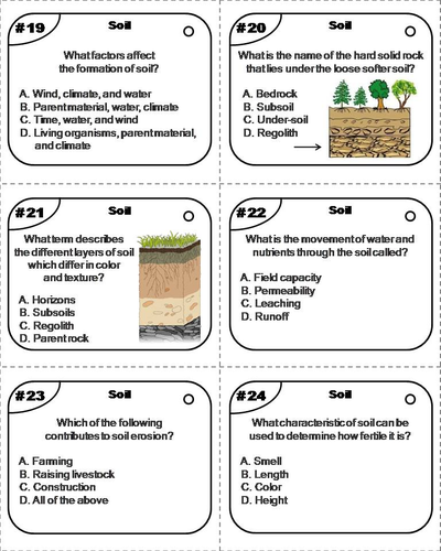 Soil Task Cards | Teaching Resources