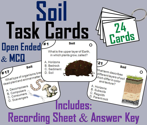 Earth Science Task Cards: Clouds, Fossils, Landforms, Rock Cycle ...