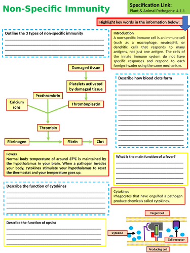 A Level Biology Non-Specific Immune Responses Lesson | Teaching Resources