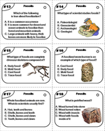 Types of Fossils Task Cards | Teaching Resources