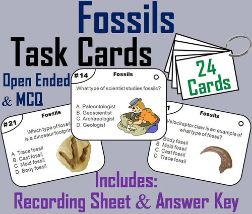 Fossils Task Cards, PowerPoint and Activities Bundle | Teaching Resources