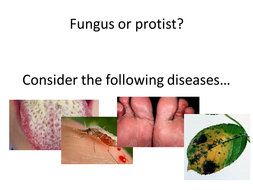 5.8 Diseases caused by fungi and protists NEW GCSE Biology ...