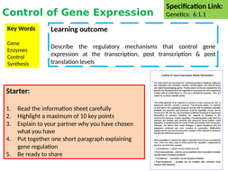 A Level Biology Control of Gene Expression Lesson by chalky1234567 | Teaching Resources