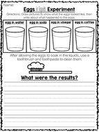 Healthy Teeth Eggs Experiment | Teaching Resources
