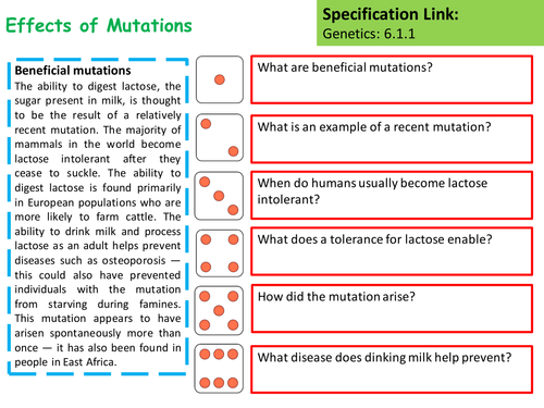 A Level Biology Mutations & Variation Lesson & Activities | Teaching ...