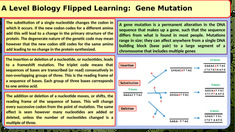 A Level Biology Mutations & Variation Lesson & Activities | Teaching ...