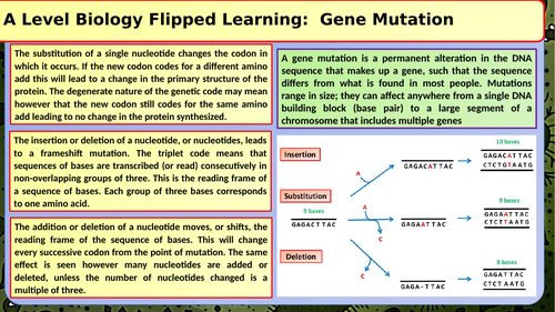 A Level Biology Mutations & Variation Lesson & Activities | Teaching ...