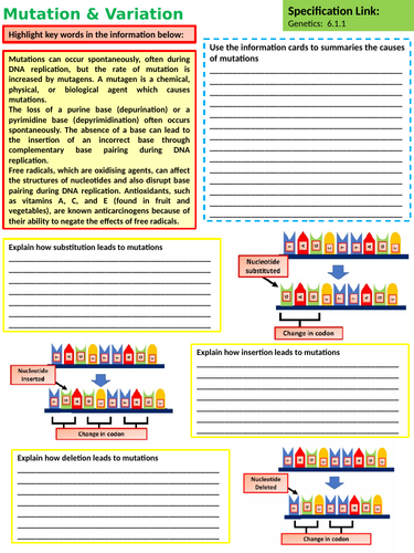 A Level Biology Mutations & Variation Lesson & Activities | Teaching ...