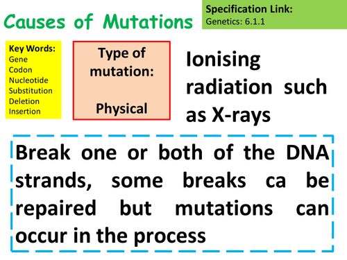 A Level Biology Mutations & Variation Lesson & Activities | Teaching ...