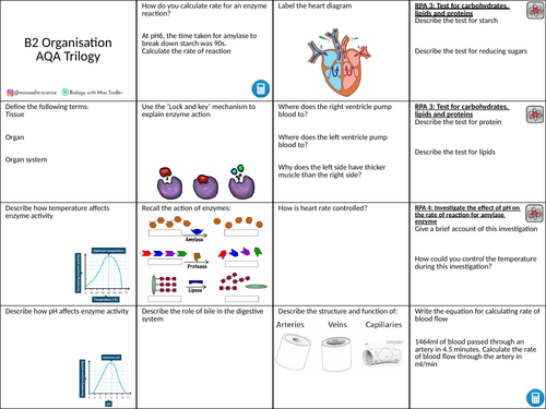 AQA Trilogy B2 Organisation Revision grids | Teaching Resources